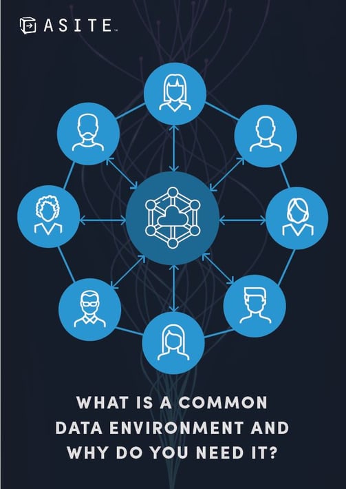 Common Data Environment CDE Report Download